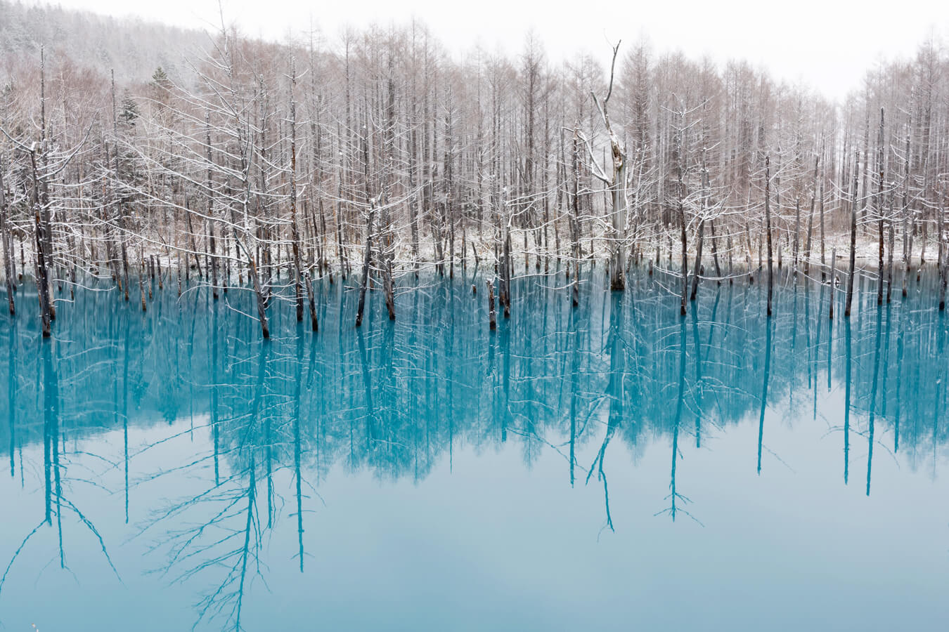 Only in winter! Beautiful winter wonderland in the snow country - Japan ...